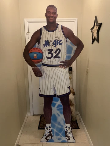 Shaquille O'Neal Posters - HiCollectors